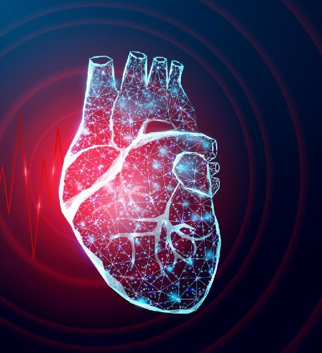 Hemodynamics and Electrophysiology :: Estudiante-iq-KarinaGonzález